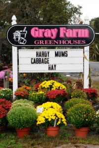 Home | Gray Farm Greenhouses